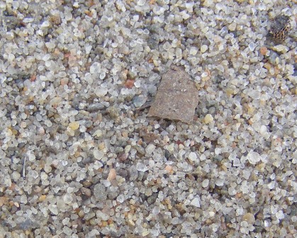 Hamlin_Beach Sand | New York State Parks and Historic Sites Blog