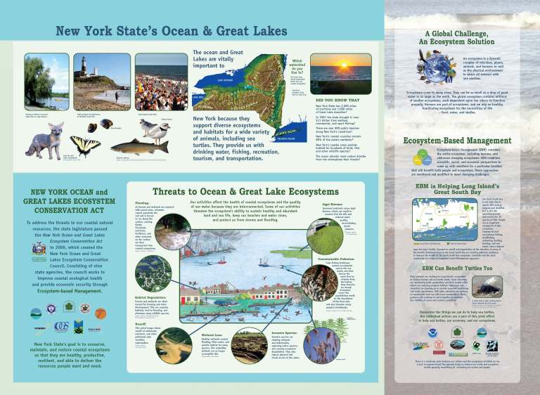 Looking at the Big Picture: Implementing Ecosystem-Based Management in ...