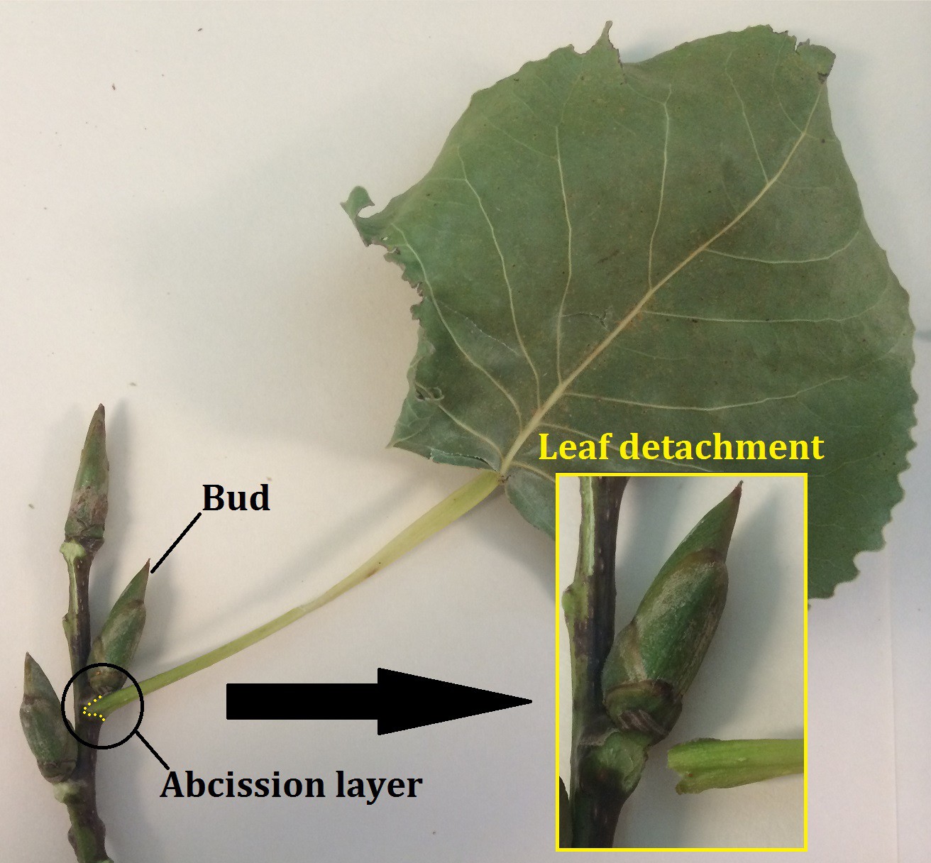 Dunham Reservoir | New York State Parks and Historic Sites Blog