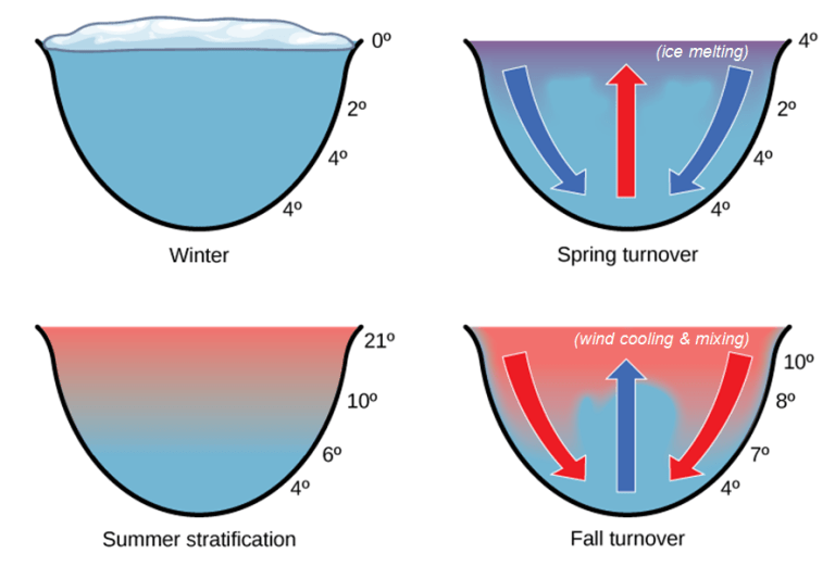 Lakes Have Seasons, Too | New York State Parks and Historic Sites Blog