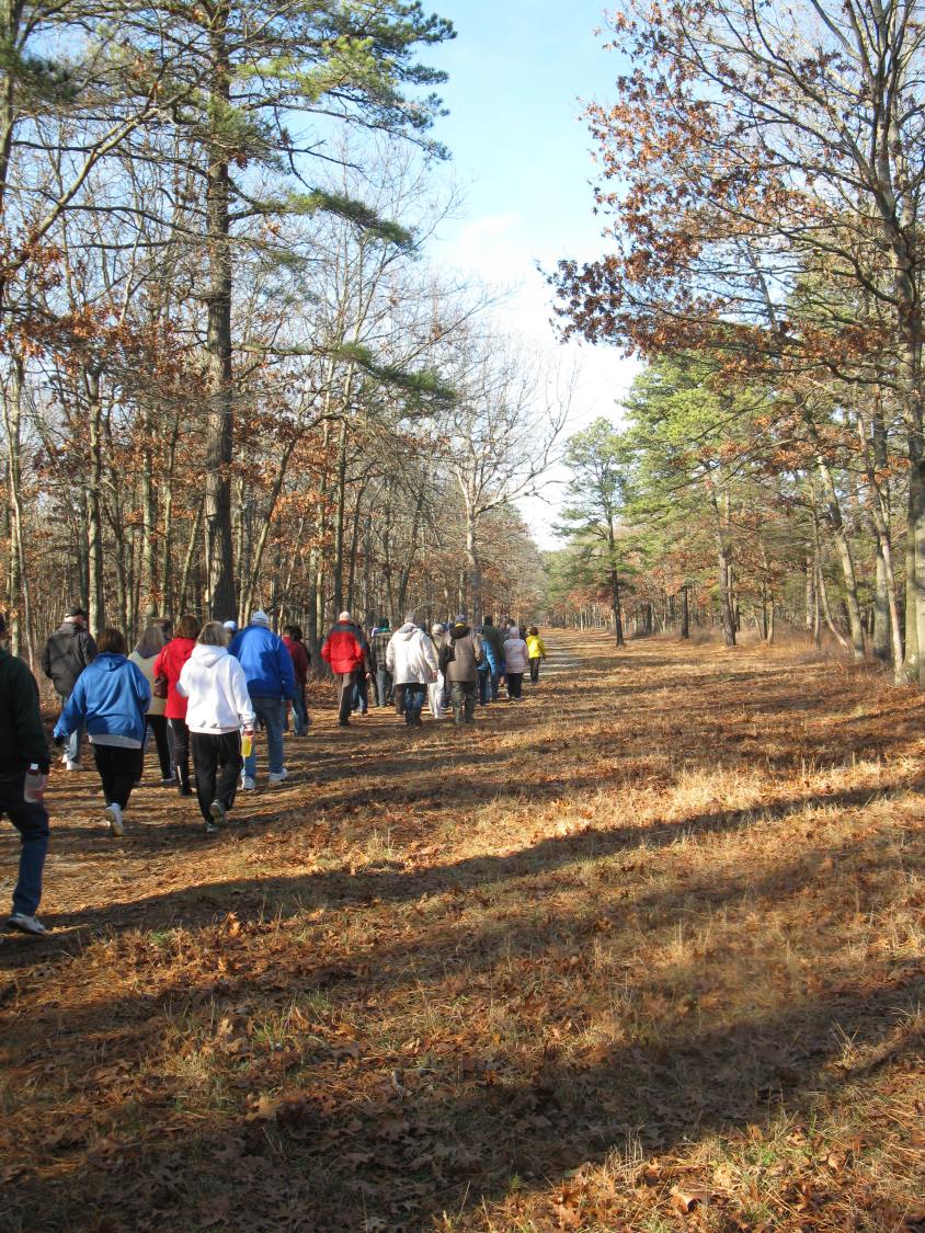 Best Loved Hikes in New York State Parks | New York State Parks and ...