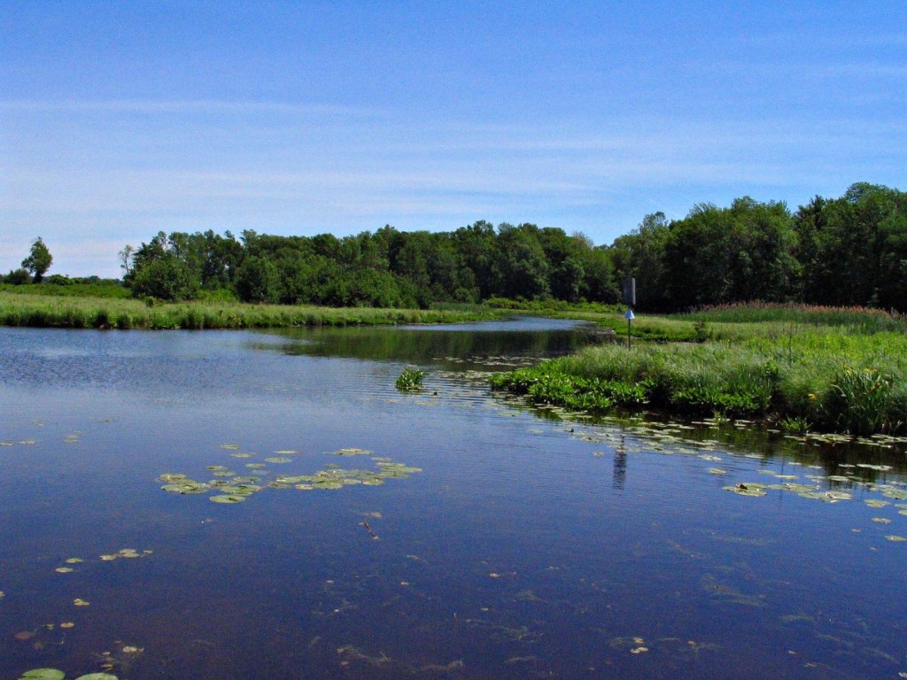 Kayak Adventures in the Niagara Region | New York State Parks and ...