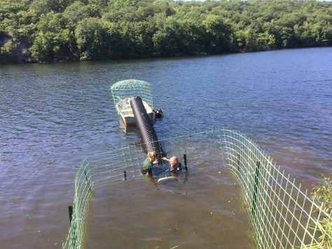 trapezoidal fence | New York State Parks and Historic Sites Blog