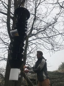 Lindgren funnel traps | New York State Parks and Historic Sites Blog