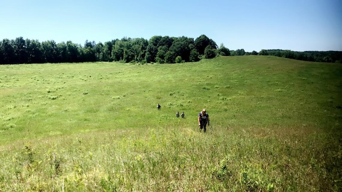Excelsior Conservation Corps Works Alongside Parks to Conserve ...