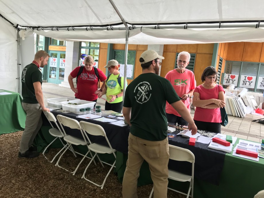 Protecting Our Waterways | New York State Parks and Historic Sites Blog