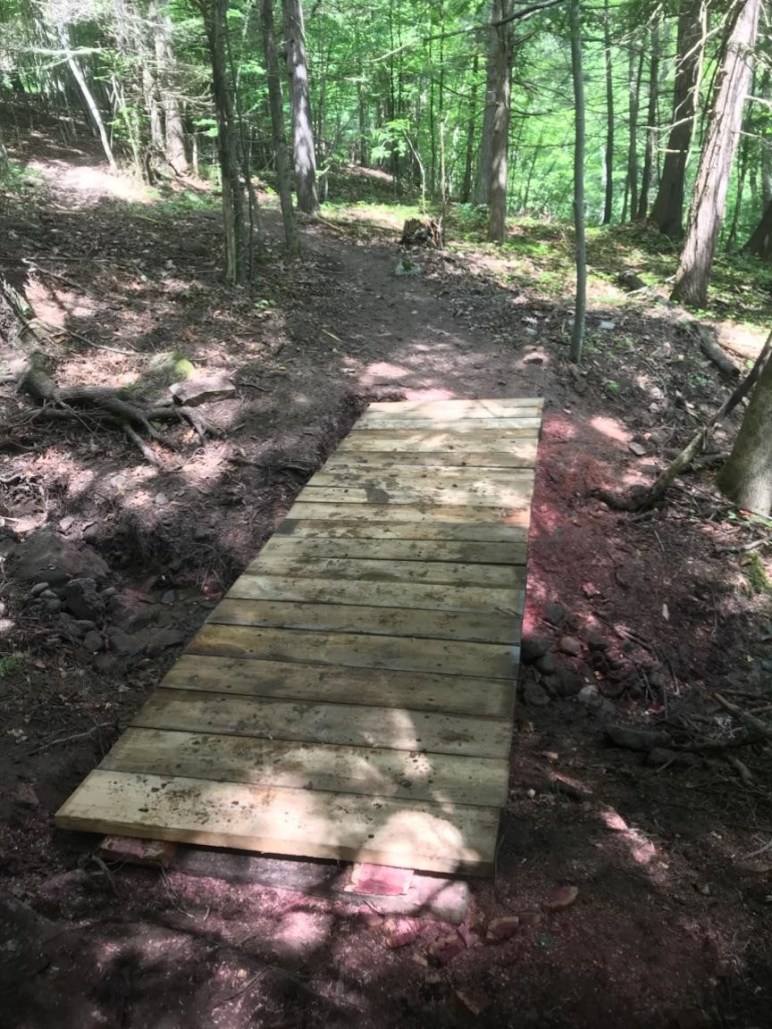 Excelsior conservation corps | New York State Parks and Historic Sites Blog