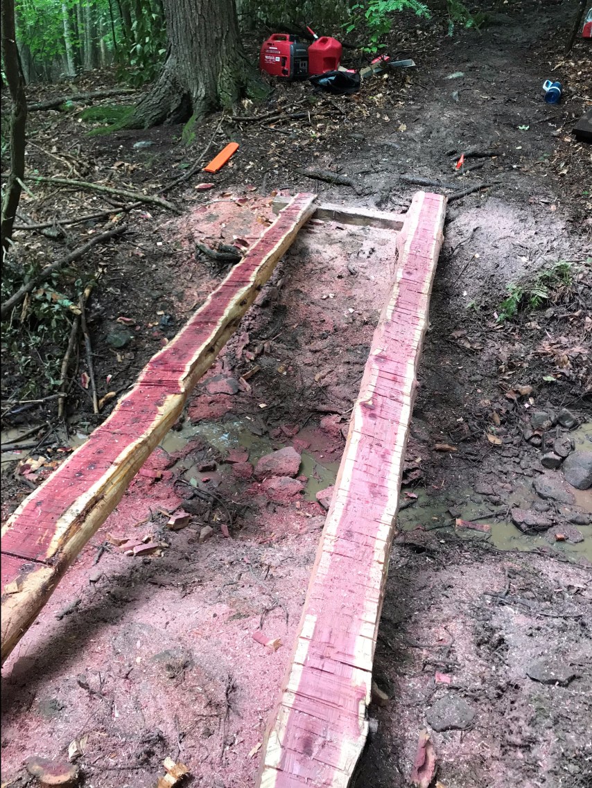 Building Bridges: the Excelsior Conservation Corps Lend State Parks a ...