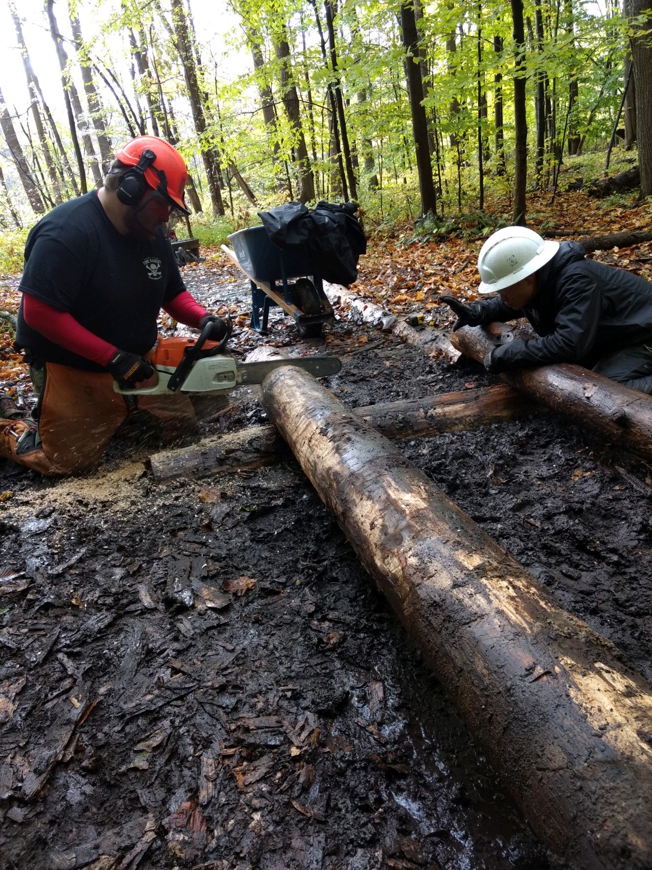 Trail Work: Excelsior Conservation Corps Helps out at Hamlin Beach ...