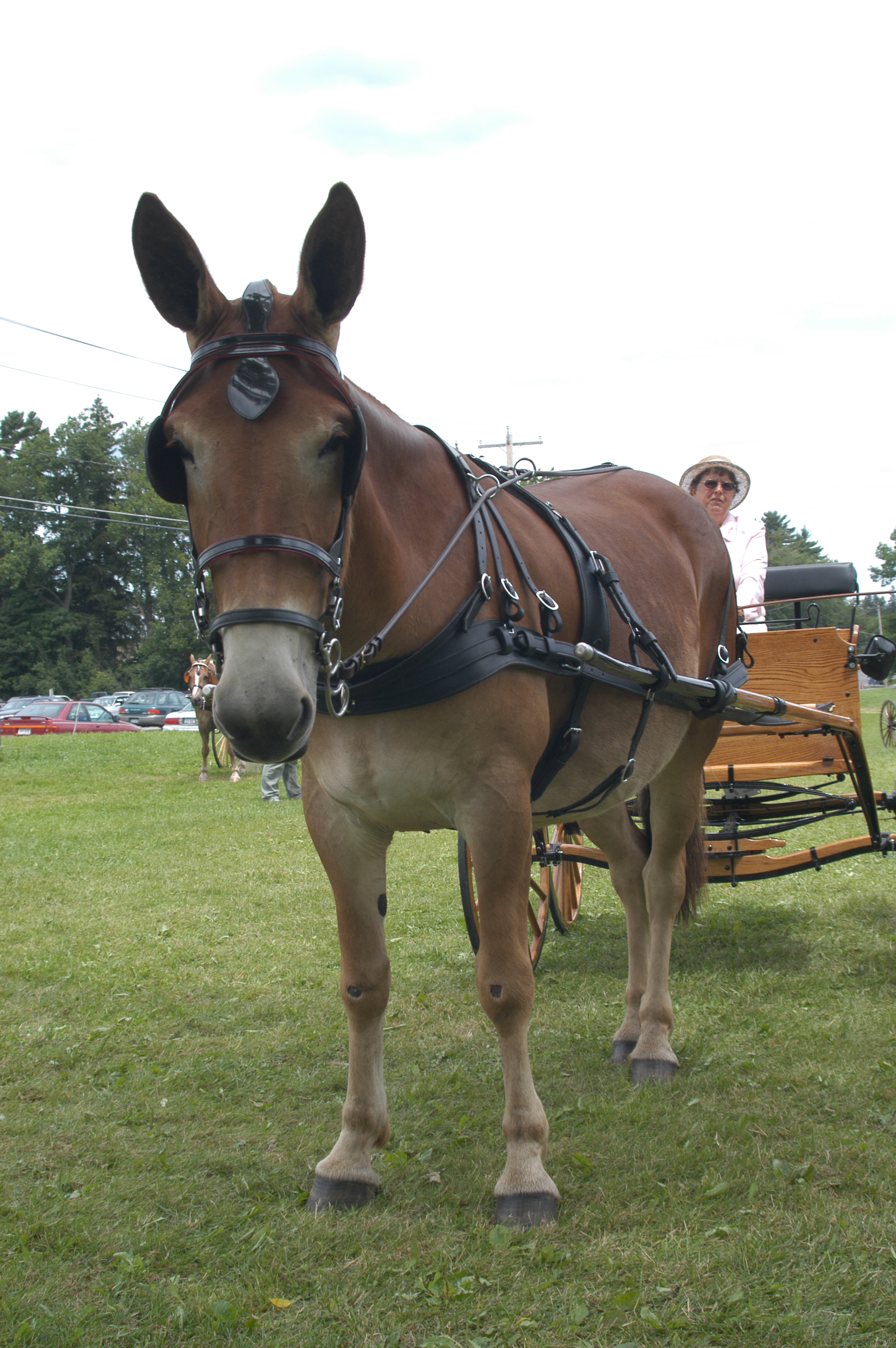 July | 2019 | New York State Parks and Historic Sites Blog