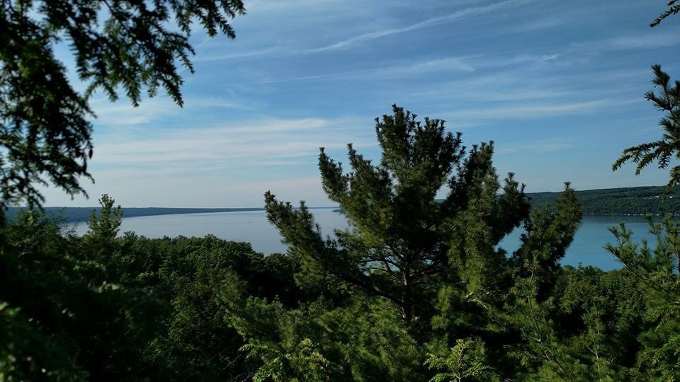 Treetop View | New York State Parks and Historic Sites Blog