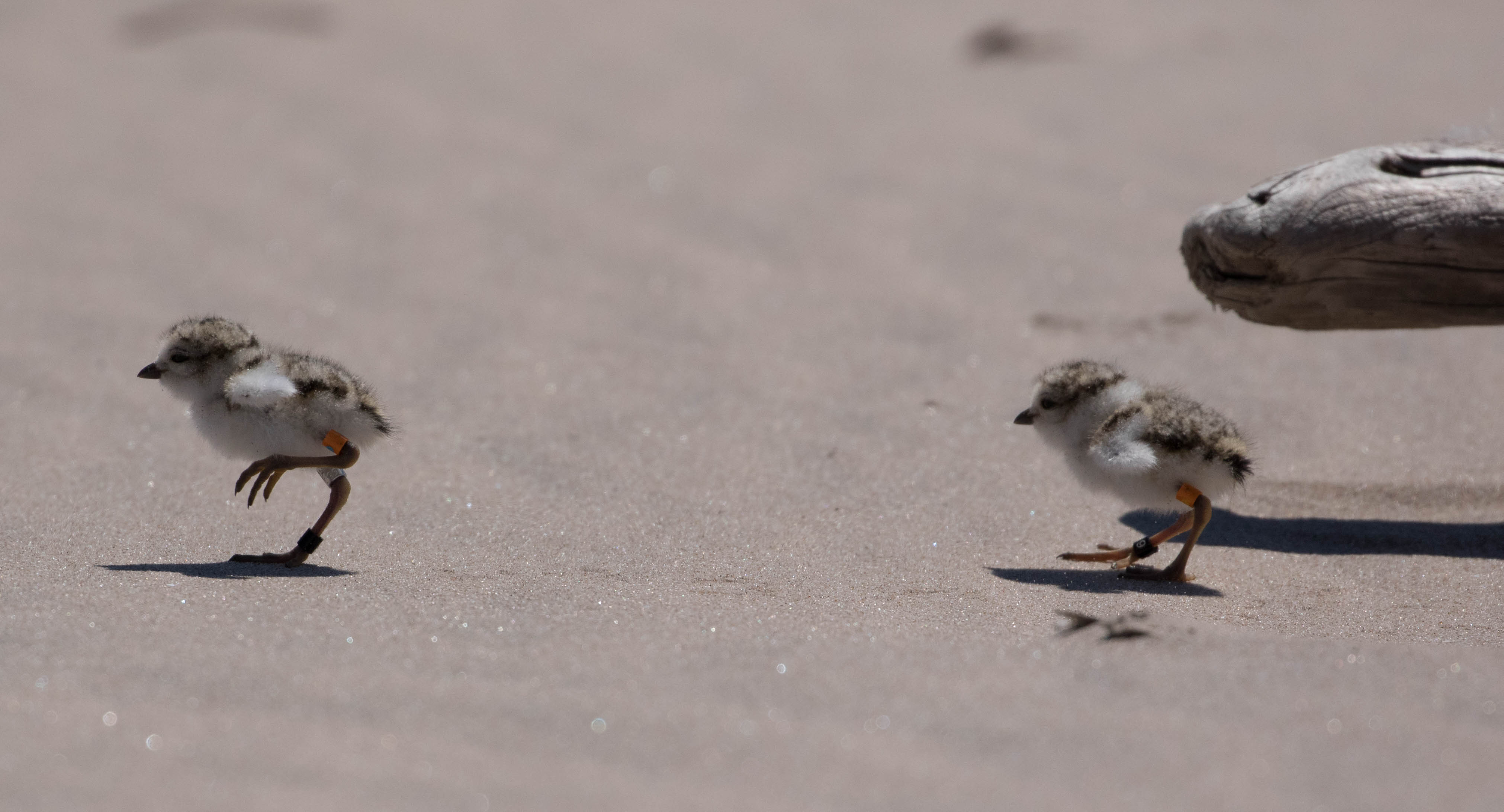 Sandy Island Beach State Park | New York State Parks and Historic Sites ...
