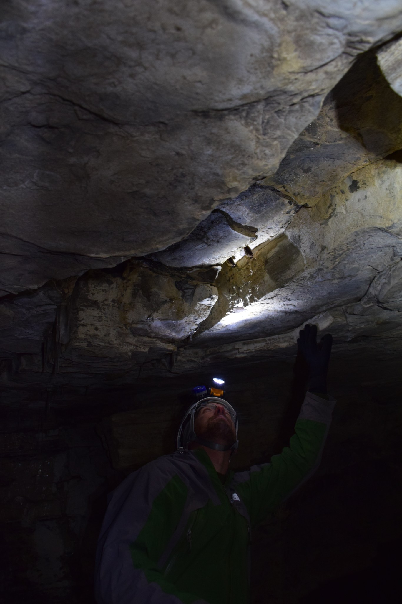 Parks Cave As Sanctuary for Embattled Bats | New York State Parks and ...