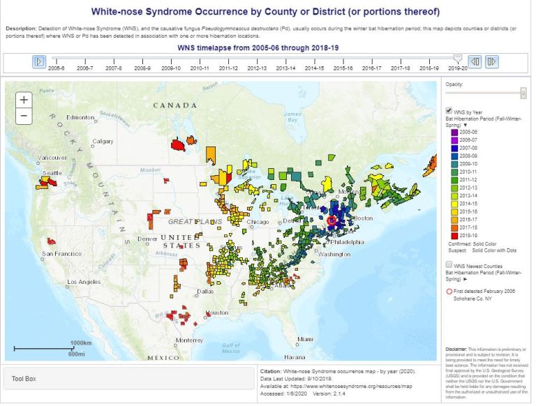 white nose syndrome | New York State Parks and Historic Sites Blog