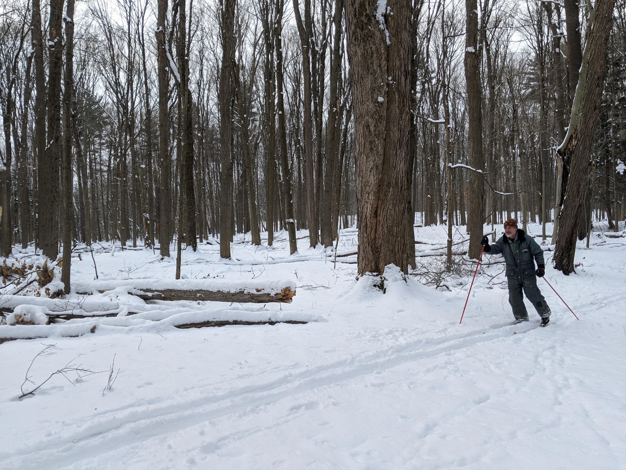 Fahnestock Winter Park | New York State Parks and Historic Sites Blog