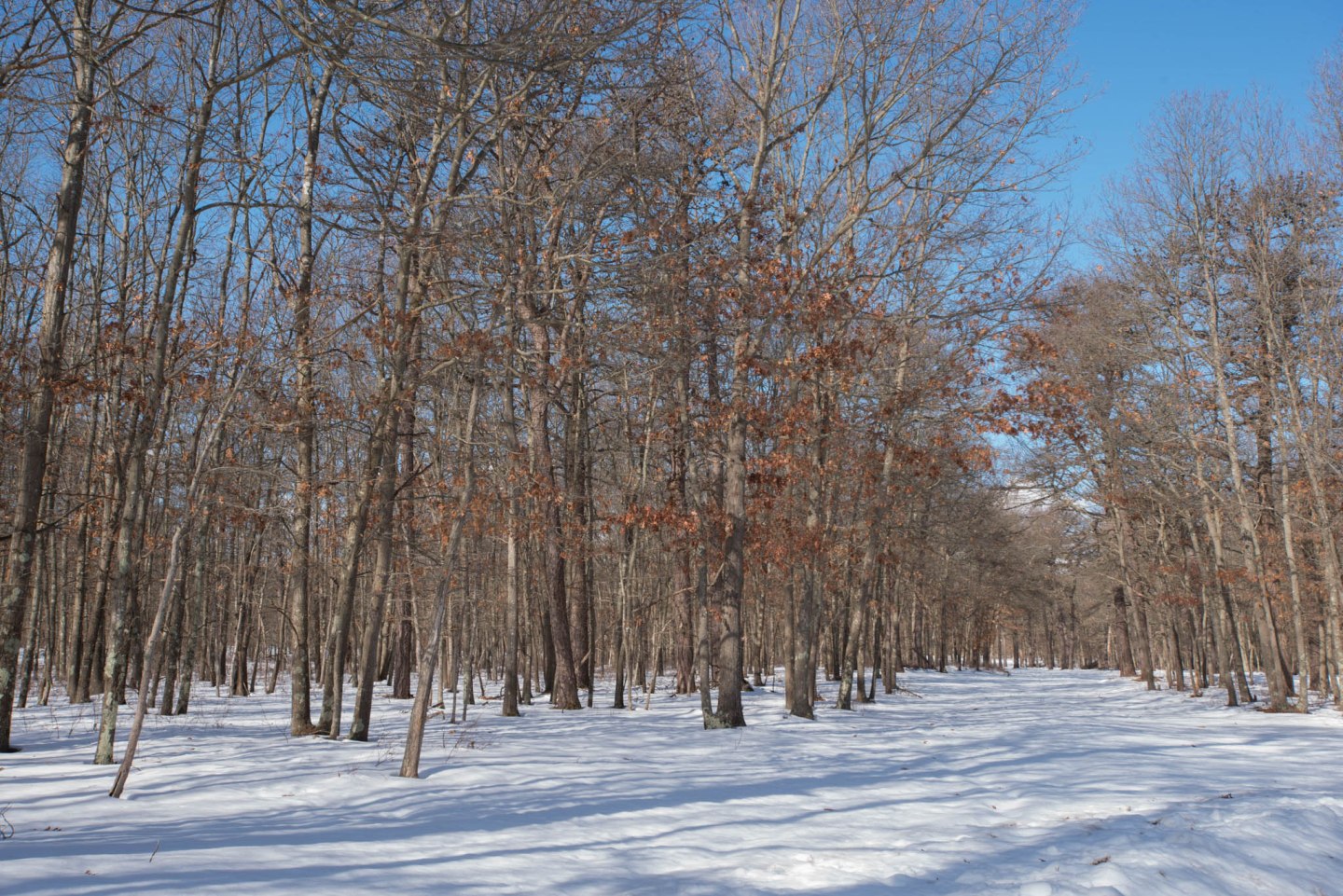 Fahnestock Winter Park | New York State Parks and Historic Sites Blog