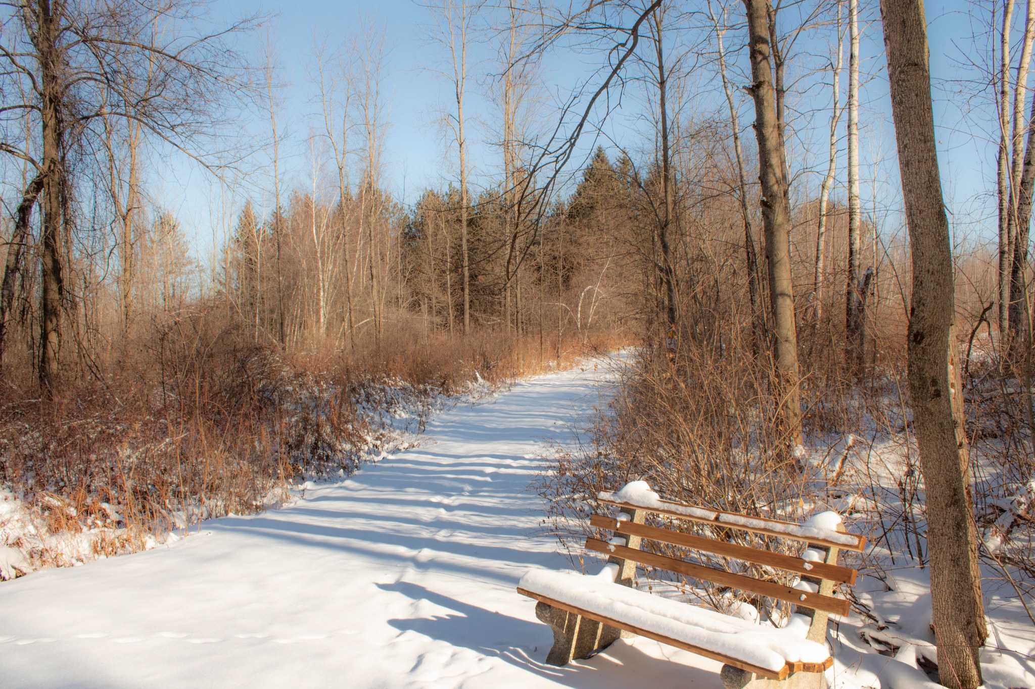 Fahnestock Winter Park | New York State Parks and Historic Sites Blog