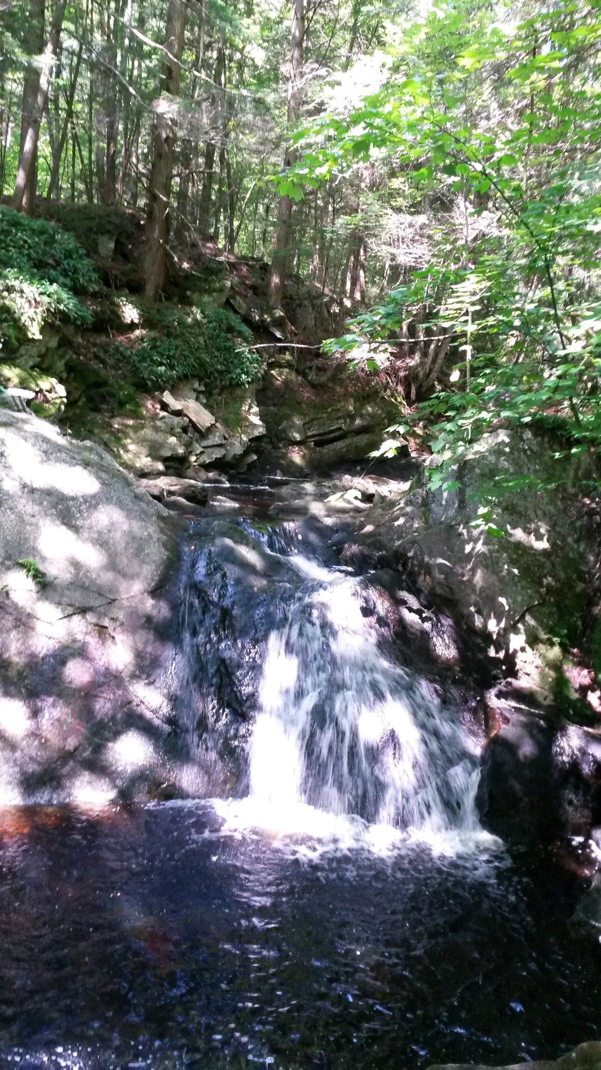 Cherry Plain State Park | New York State Parks and Historic Sites Blog