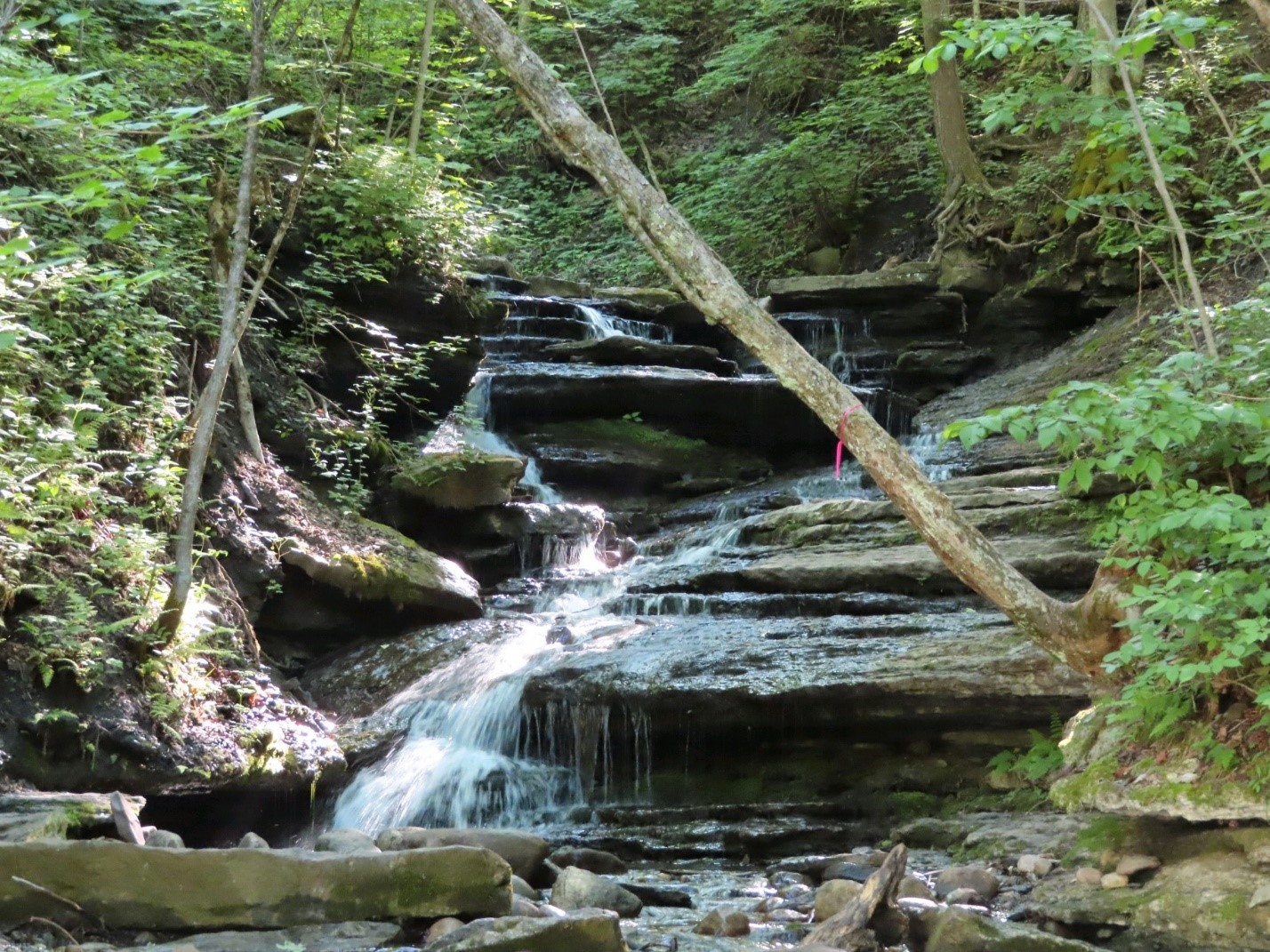 Pixley Falls State Park | New York State Parks and Historic Sites Blog