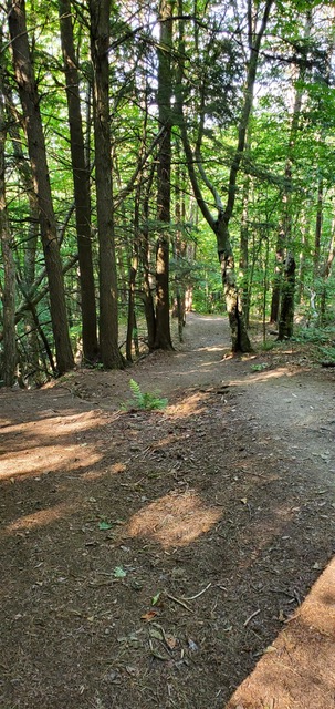 Whetstone Gulf State Park | New York State Parks and Historic Sites Blog