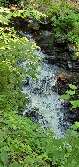 Whetstone Gulf State Park | New York State Parks and Historic Sites Blog