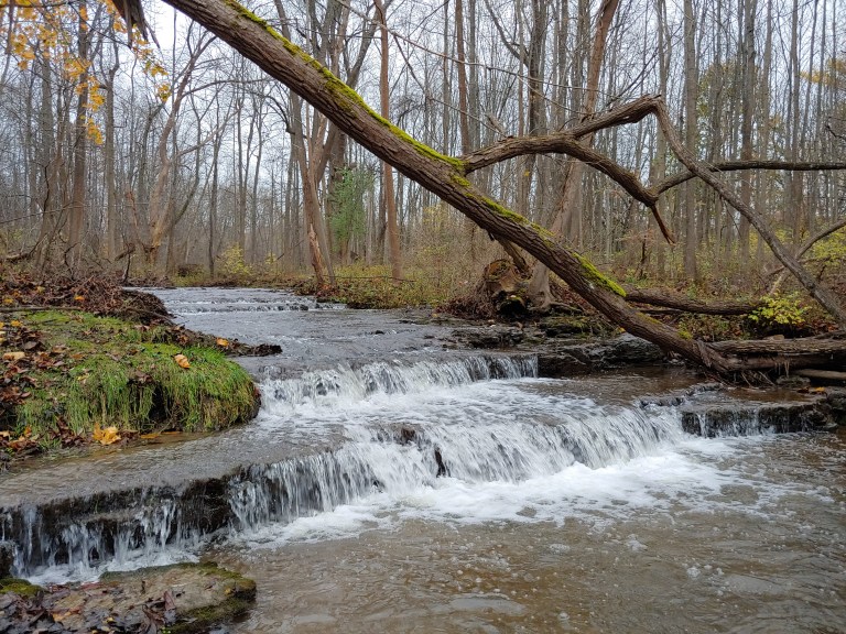 Get Out and Explore… The Finger Lakes Region of New York State Parks ...