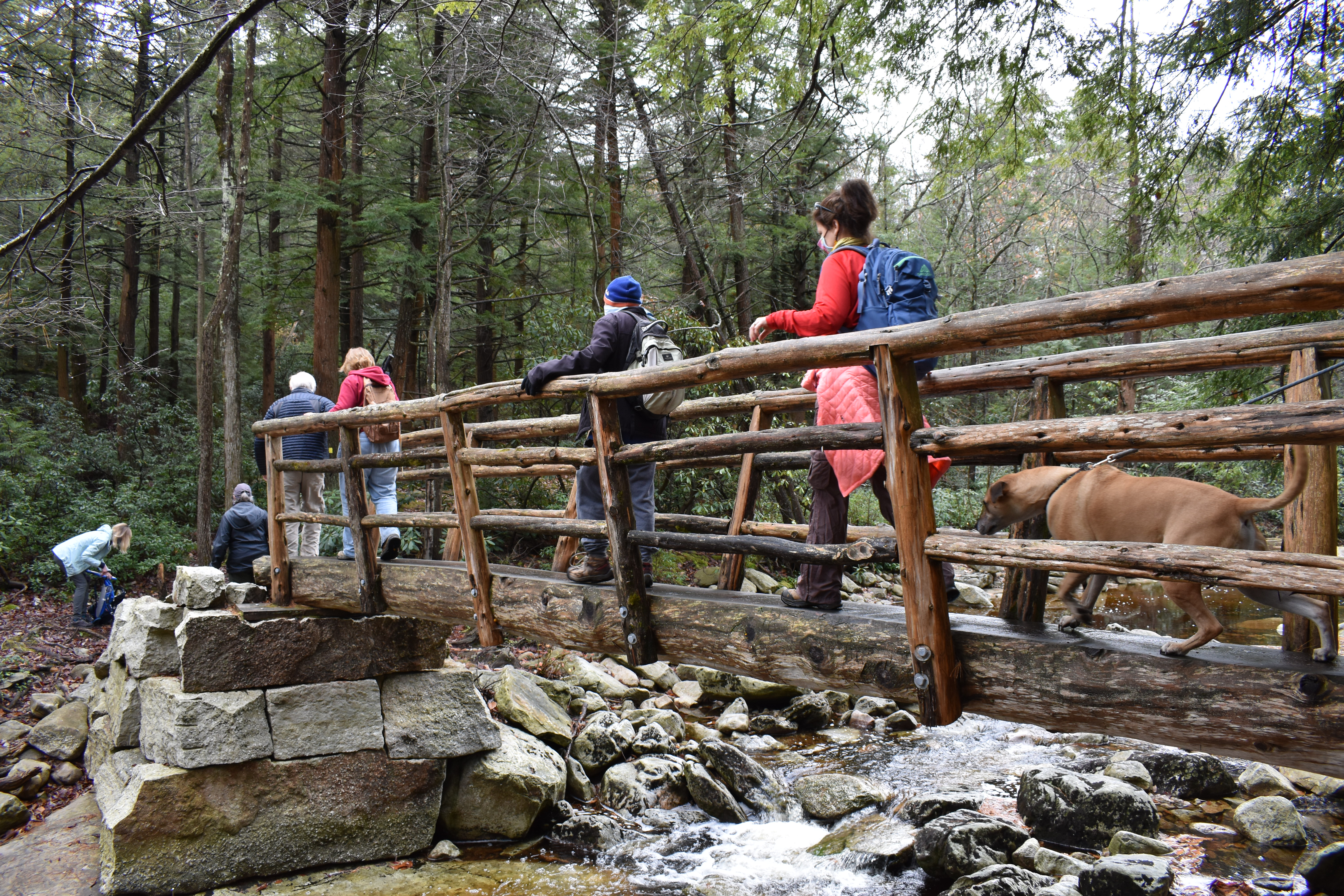 What Is Bathing without Water? | New York State Parks and Historic ...
