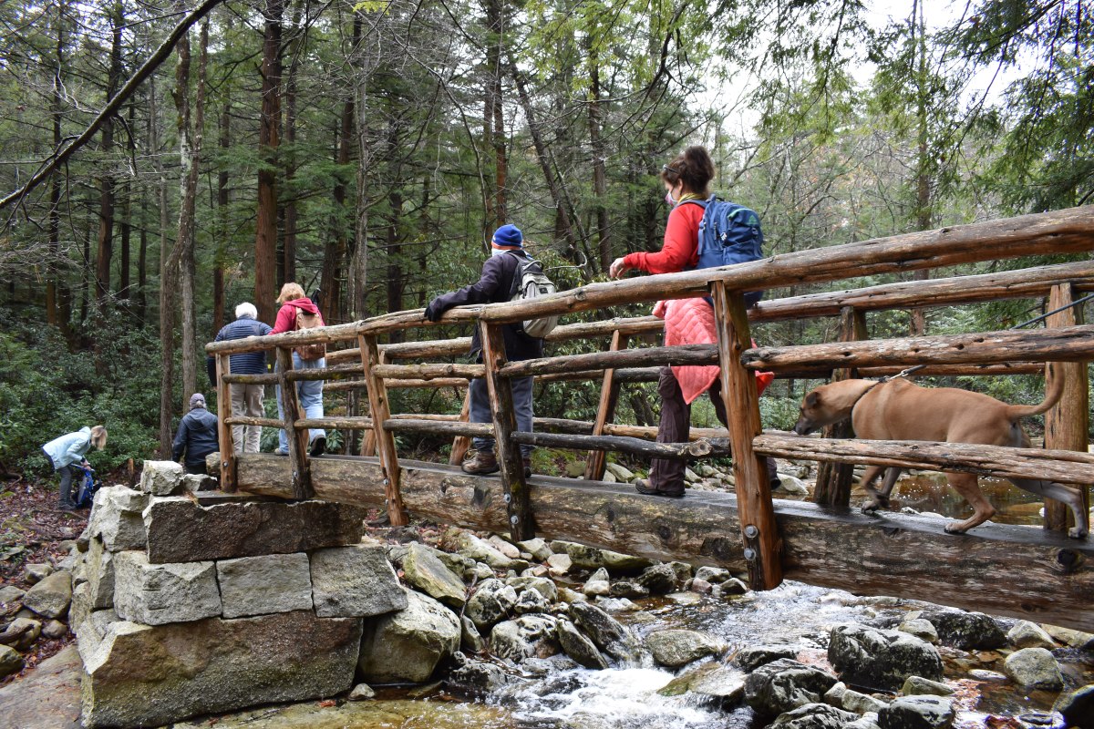 What Is Bathing without Water? | New York State Parks and Historic ...