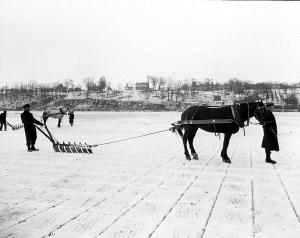When Ice Came from the Hudson River: Ice Harvesting in Staatsburg | New ...