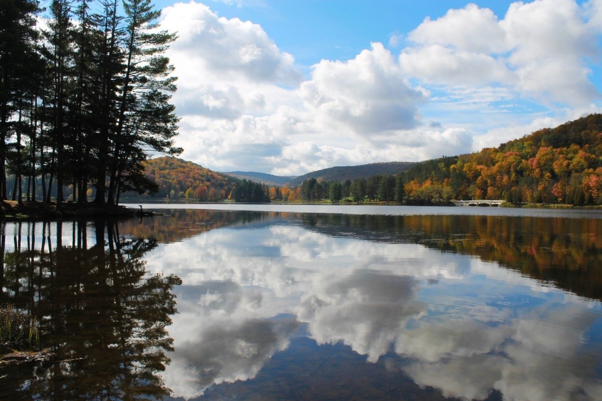 Get Out and Explore … The Allegany Region of New York state Parks | New ...