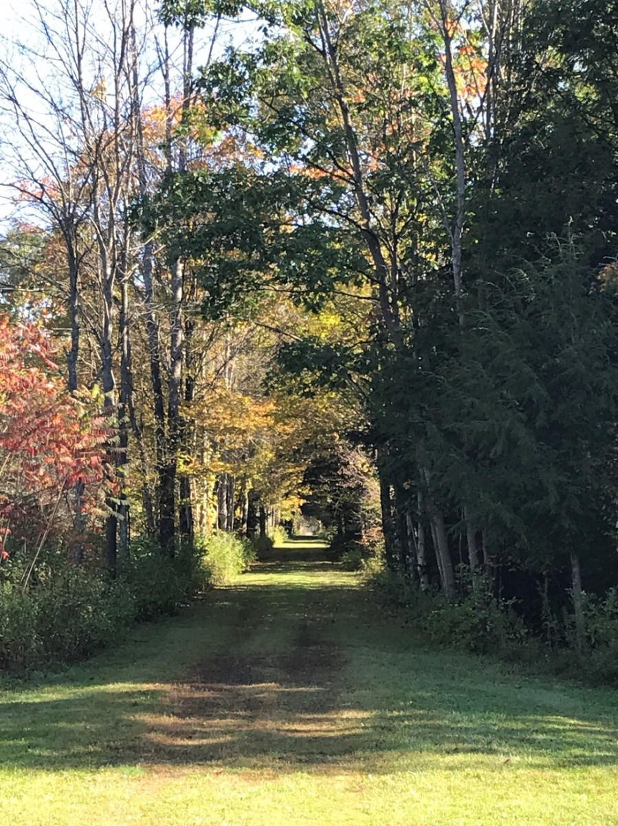 Get out and explore … The Genesee Region of New York state Parks | New ...