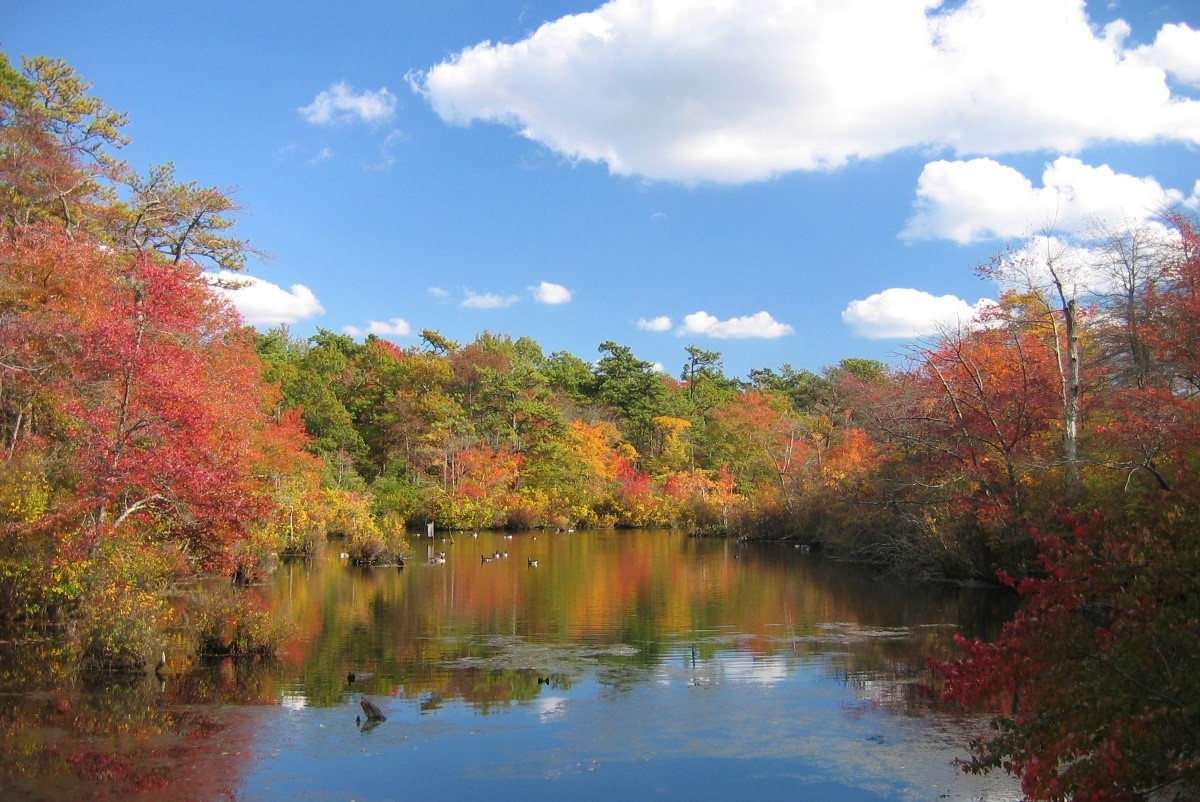 Get Out and Explore … The Long Island Region of New York State Parks ...