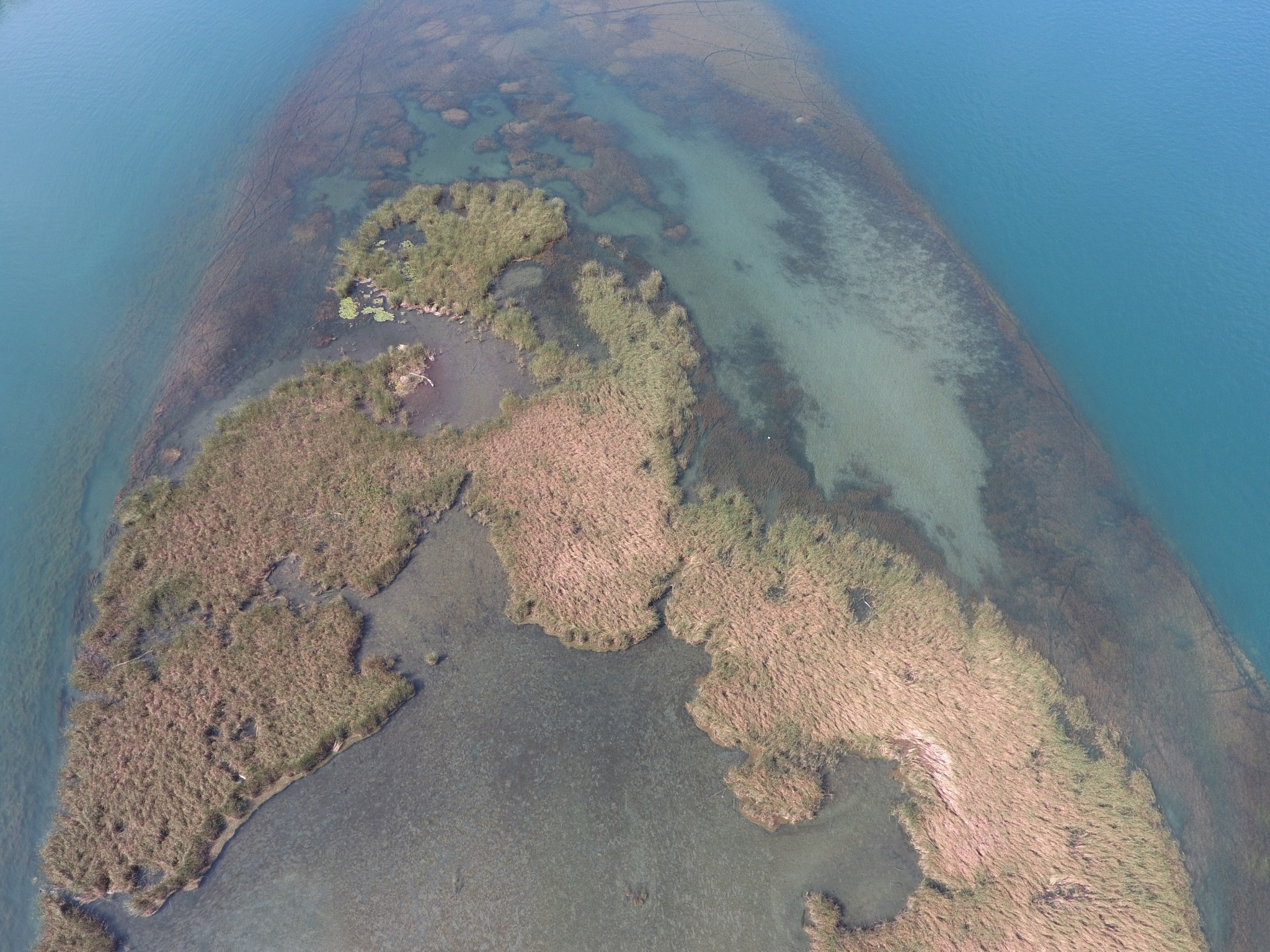 State Parks Strengthens Niagara River Island Ecosystem | New York State ...