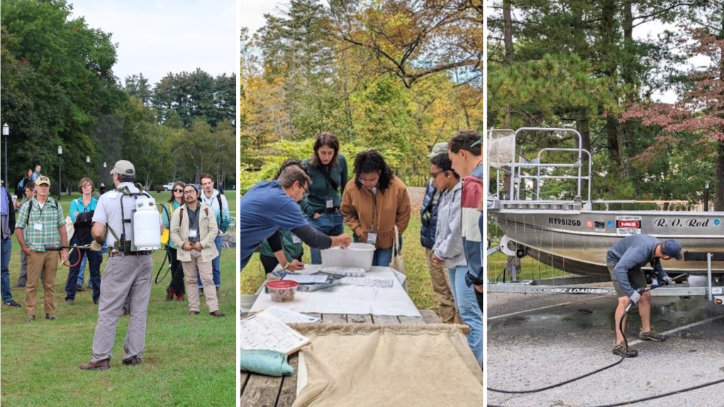 Reflect, Adapt, Evolve: Tackling New York’s Invasive Species Together ...