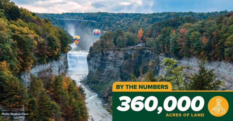 By The Numbers: NY State Parks and Historic Sites | New York State ...