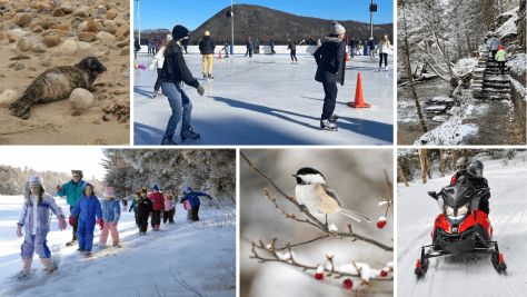 New York State Parks and Historic Sites Blog | The official blog for ...