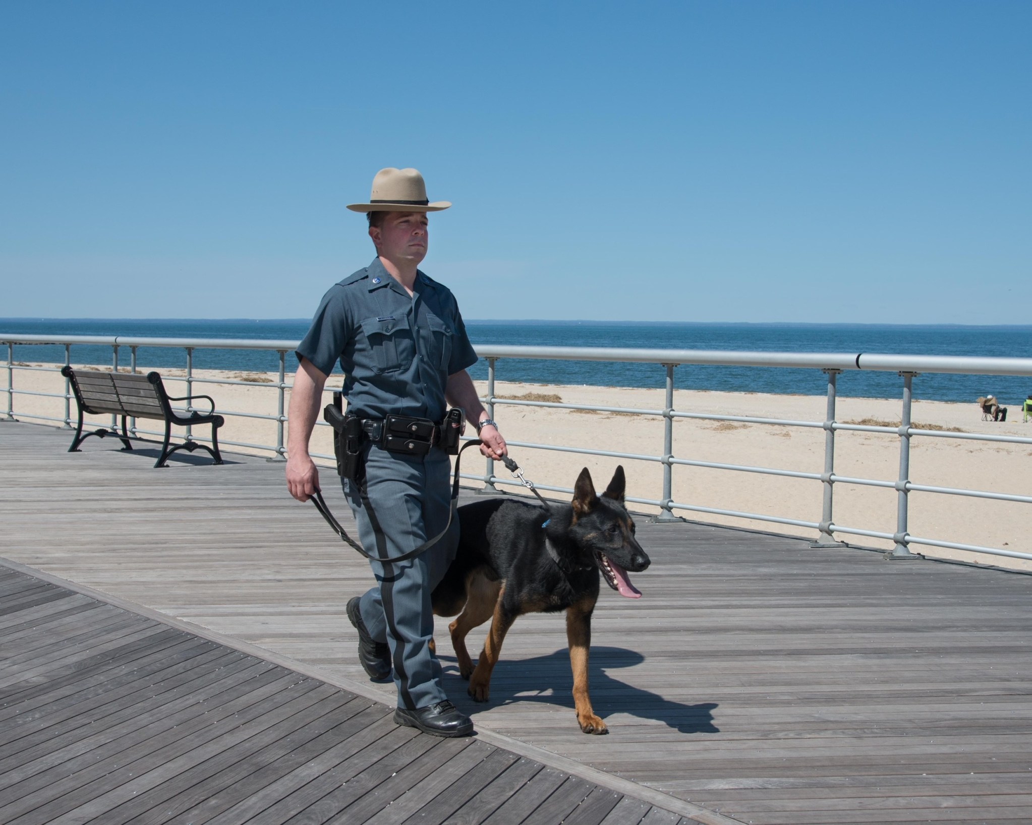 Meet The Courageous K-9s of the New York State Park Police | New York ...