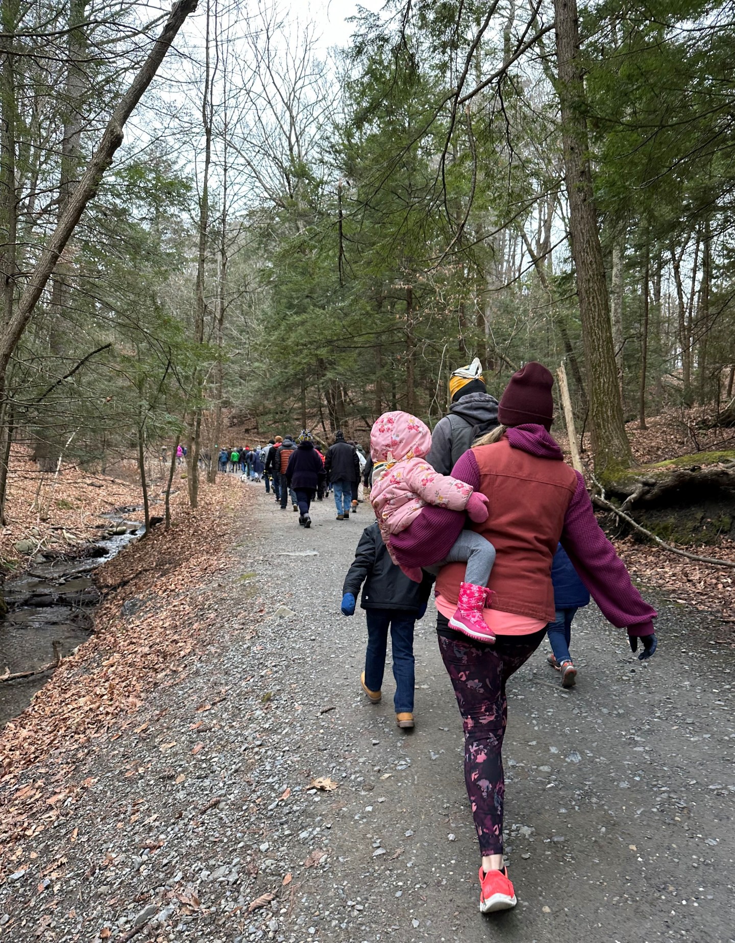Get Outside and Join New York State Parks for First Day Hikes 2025 ...